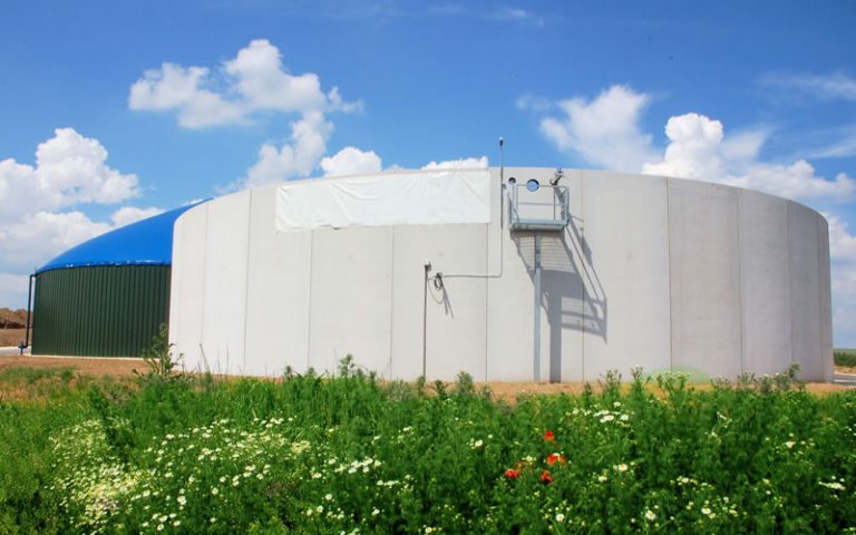 How Does Biomass Produce Energy? | Greentumble