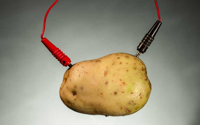 How to Produce Electricity from a Potato? | Greentumble