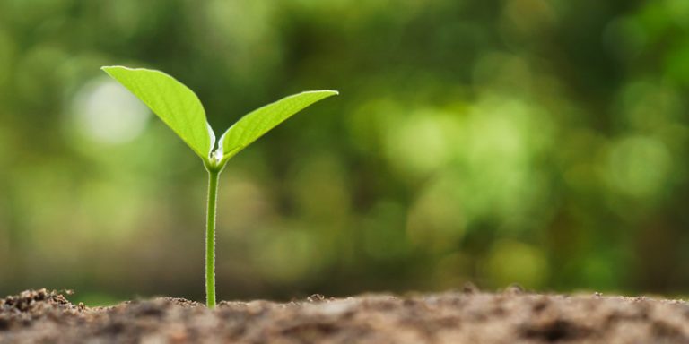 What Does It Mean to Be Green or Eco-Friendly? | Greentumble