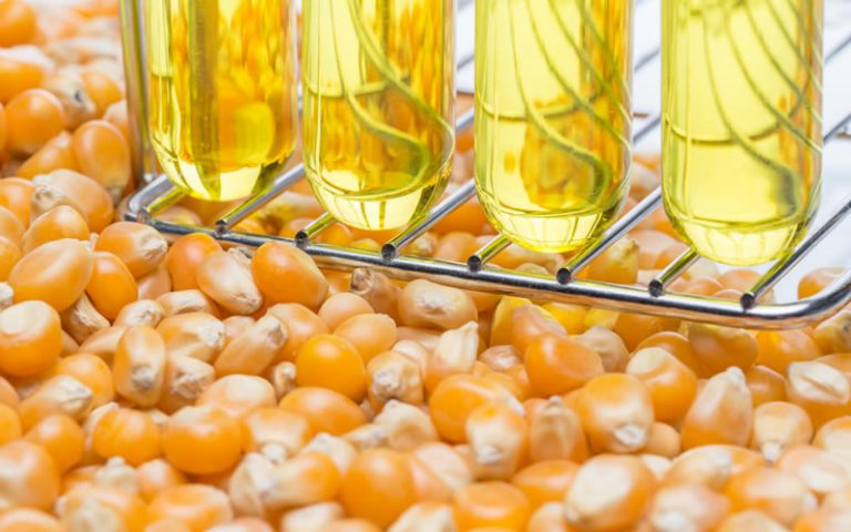 How Does Biofuel Work? | Greentumble