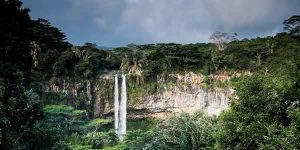 Top 10 Interesting Facts about the Rainforest | Greentumble
