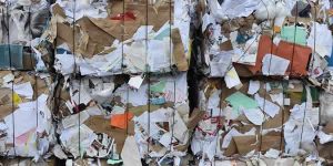 How Is Paper Recycled: Step by Step | Greentumble