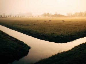 Positive Effects of Agriculture on the Environment | Greentumble