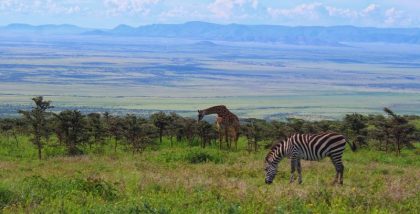 Flora and Fauna: Definition & Importance | Greentumble