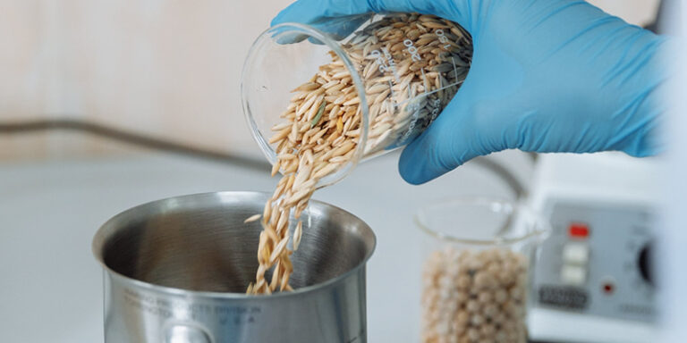 Bioengineered Food Ingredients: Are They Good? | Greentumble